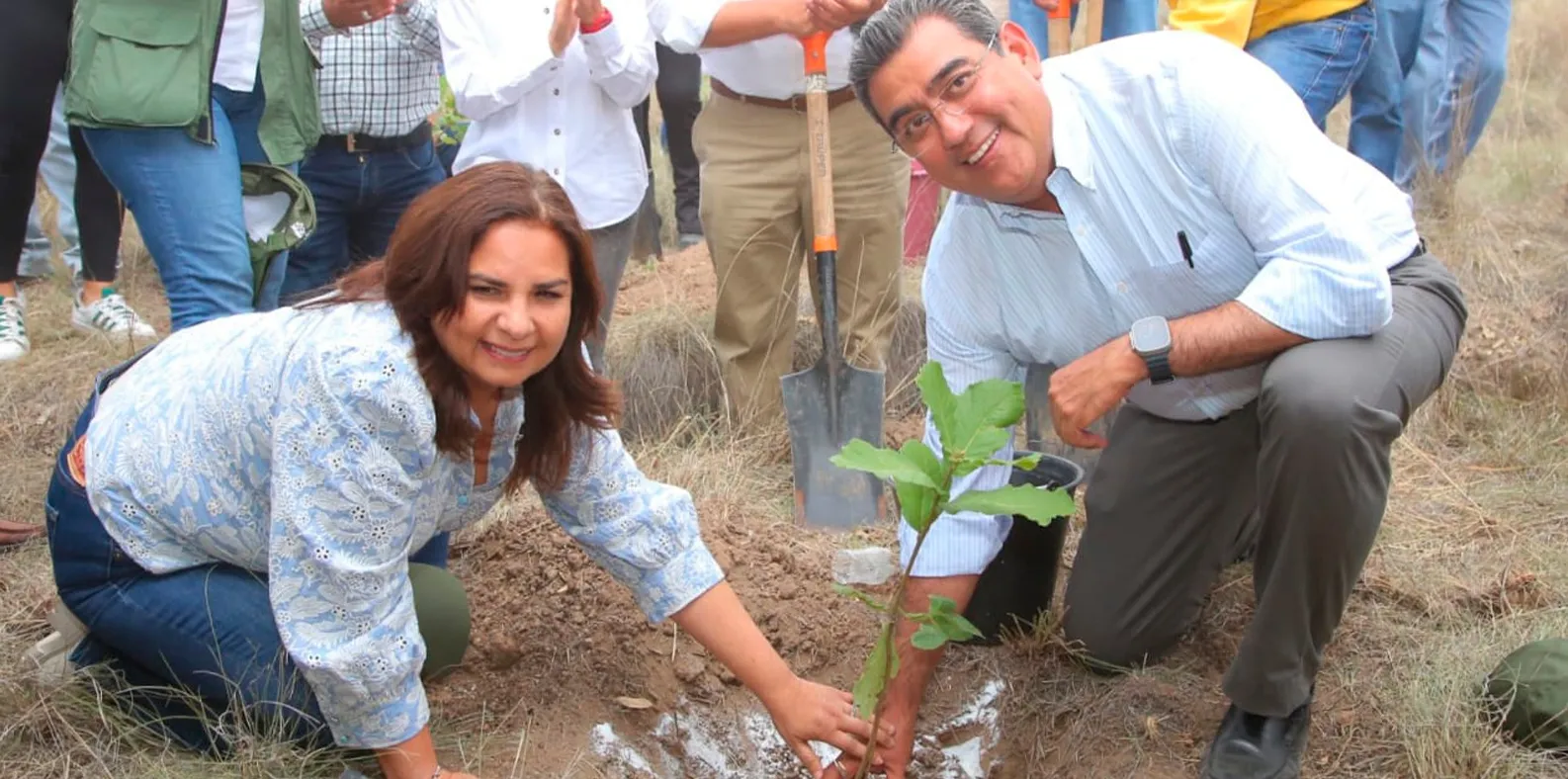 Arranca Programa de Reforestación en Puebla