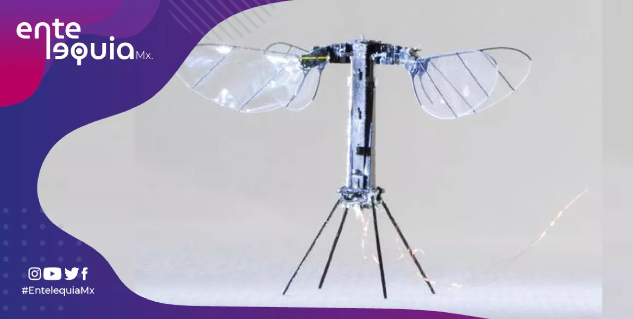 Así es RoboBee, el increíble robot insecto